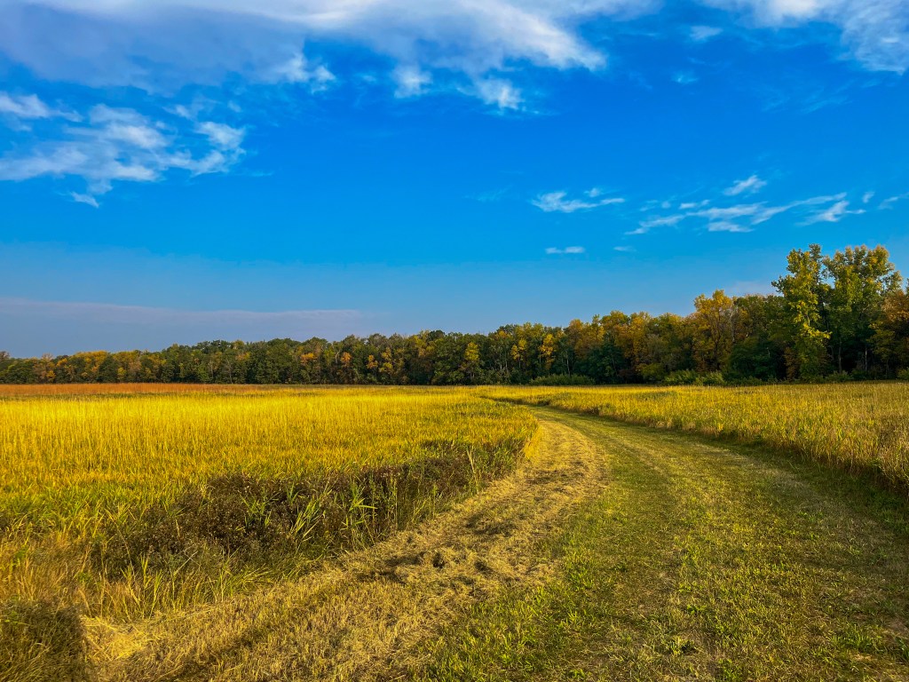 Hiking in Beaudry Provincial Park near Winnipeg - Au-delà du paysage
