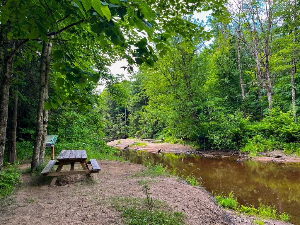Exploring Gentilly River Regional Park in Centre-du-Québec - Au-delà du ...