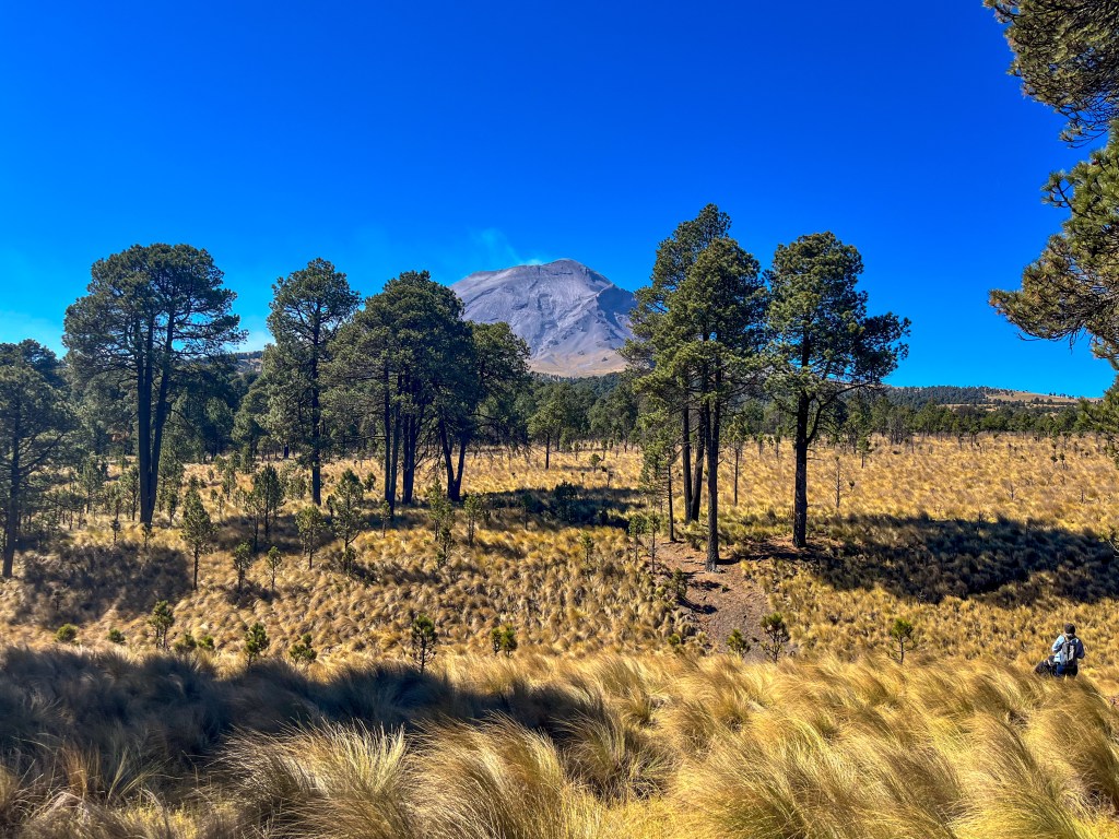 Hiking at Iztaccíhuatl–Popocatépetl National Park in Mexico - Au-delà ...